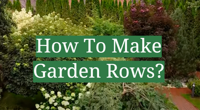 4 Steps To Make Garden Rows - GardenProfy