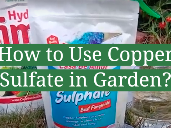 How to Unkink a Garden Hose? - GardenProfy