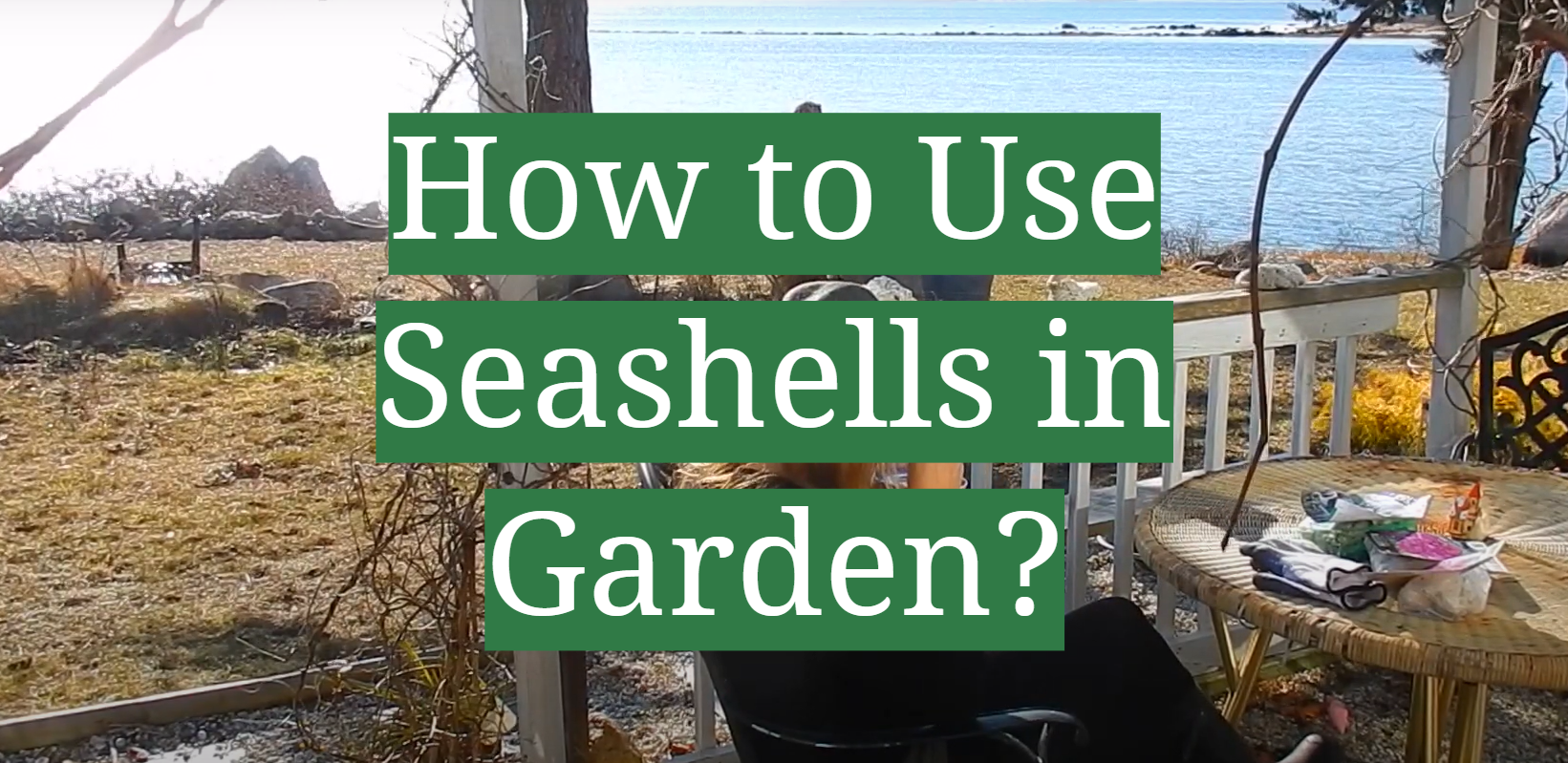 How to Use Seashells in Garden? - GardenProfy