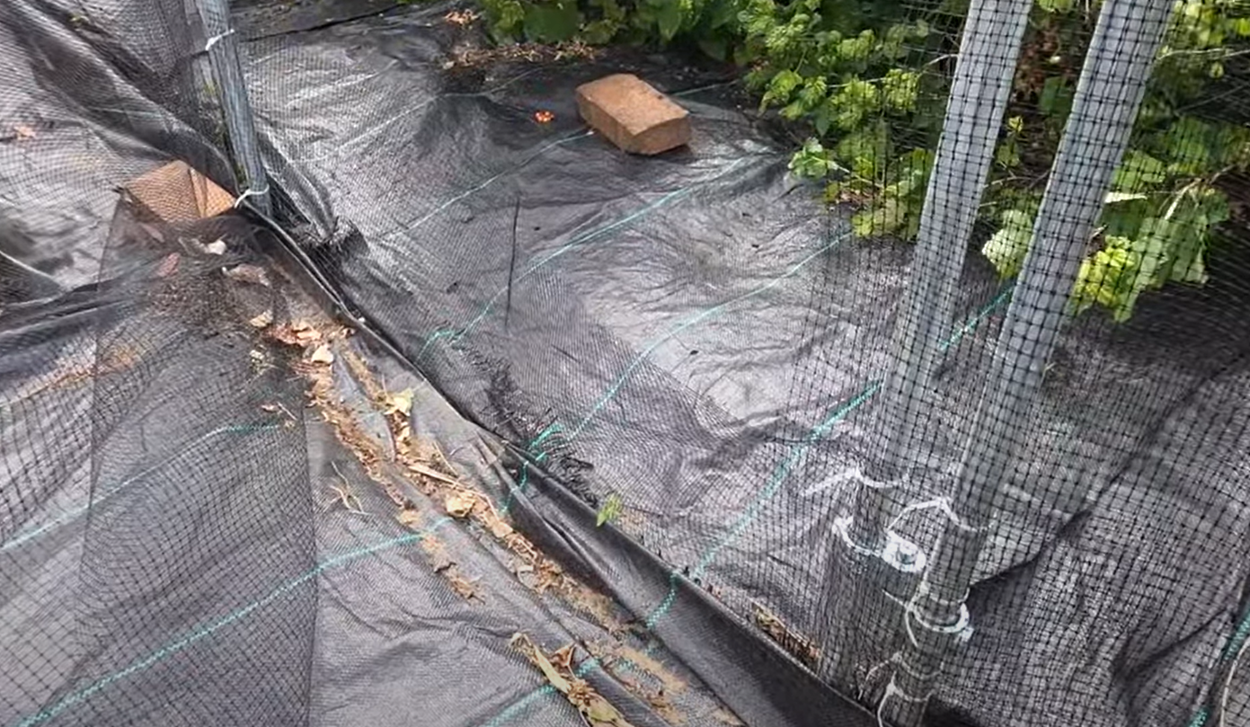 How to Build a Garden Cage? - GardenProfy