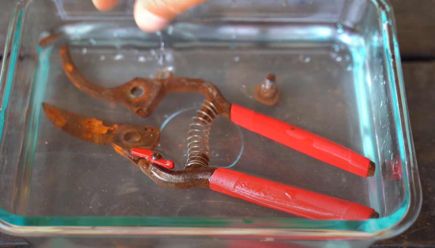 How to Keep Garden Tools From Rusting? - GardenProfy
