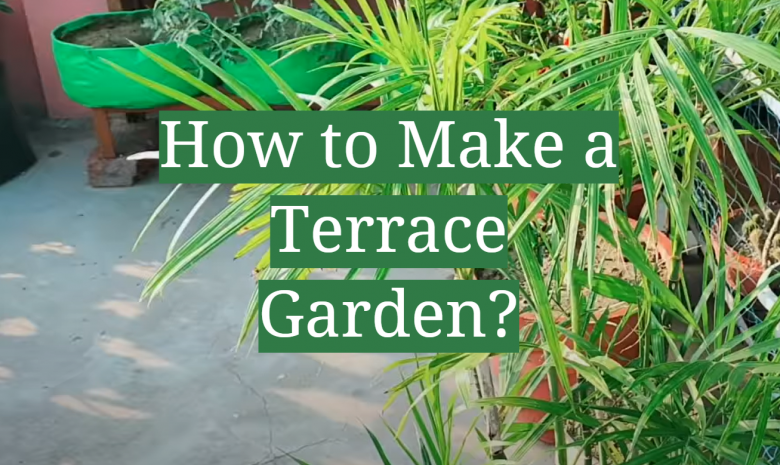 How to Make a Terrace Garden? - GardenProfy