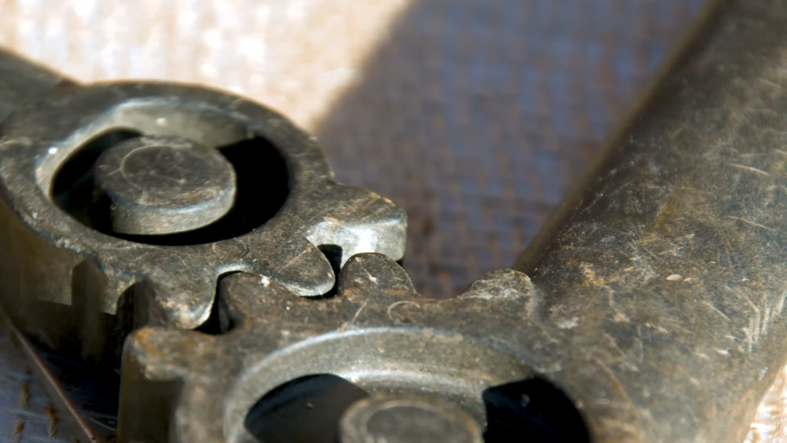 Anvil vs. Bypass Pruners: Which is Better for Gardening? - GardenProfy