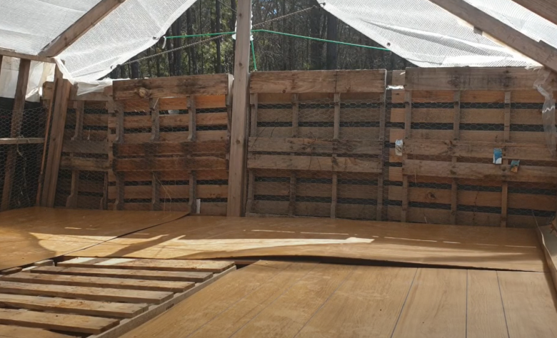 How to Build a Roller Skating Rink in Your Backyard? - GardenProfy