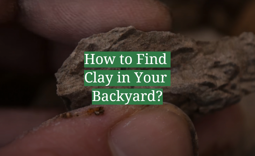 How to Find Clay in Your Backyard? - GardenProfy