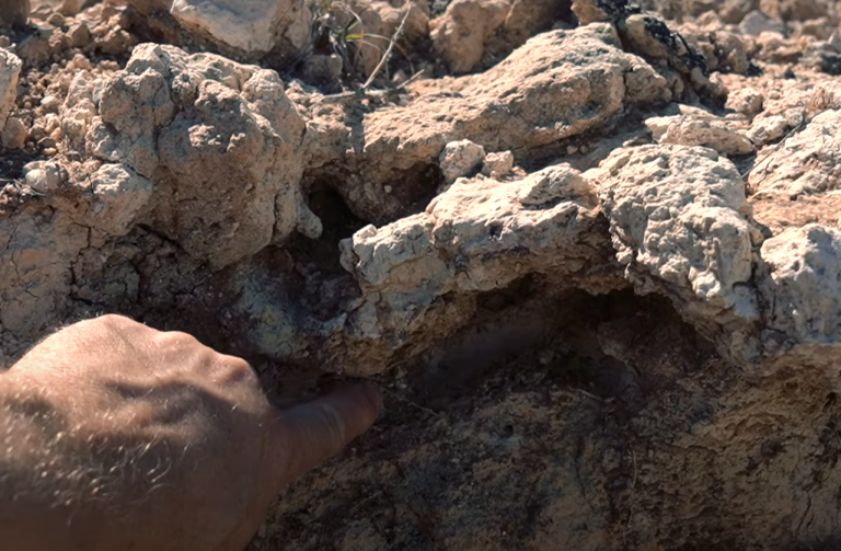 How to Find Clay in Your Backyard? - GardenProfy