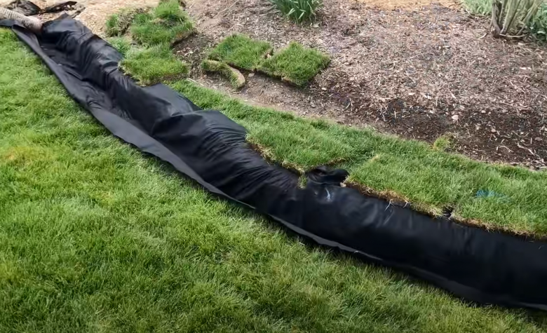 How to Fix Flooding in Backyard? - GardenProfy