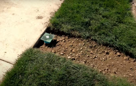 How to Fix Flooding in Backyard? - GardenProfy