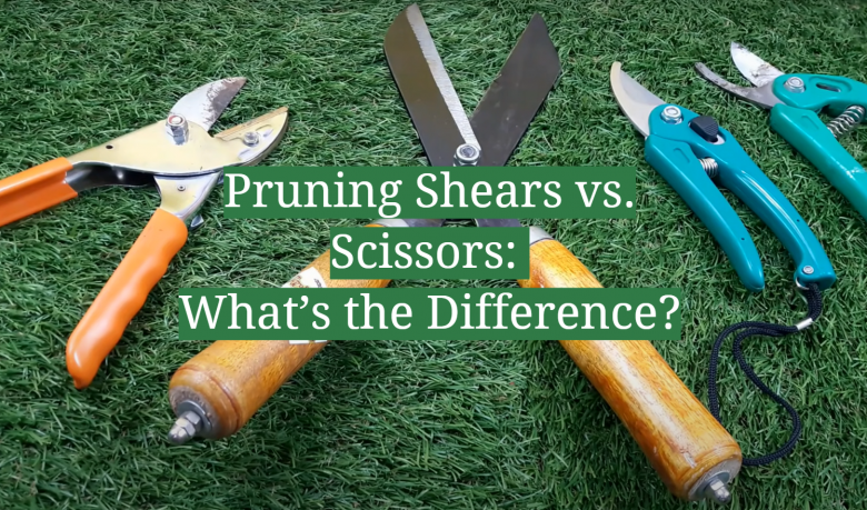 Pruning Shears vs. Scissors: What’s the Difference? - GardenProfy