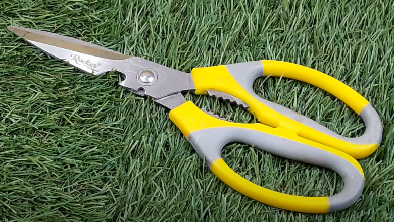 Pruning Shears vs. Scissors: What’s the Difference? - GardenProfy