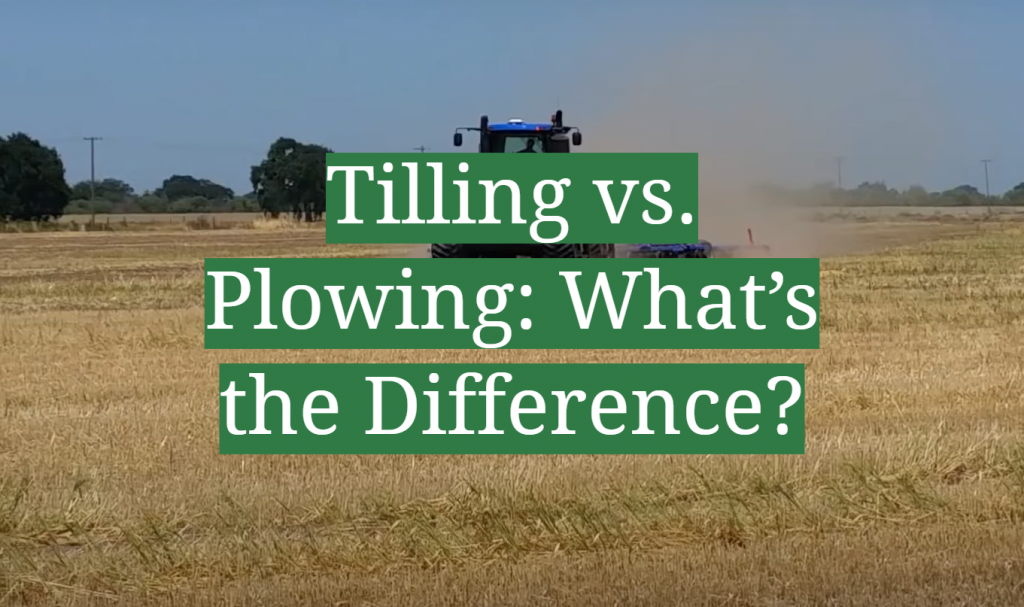 Tilling vs. Plowing: What’s the Difference? - GardenProfy