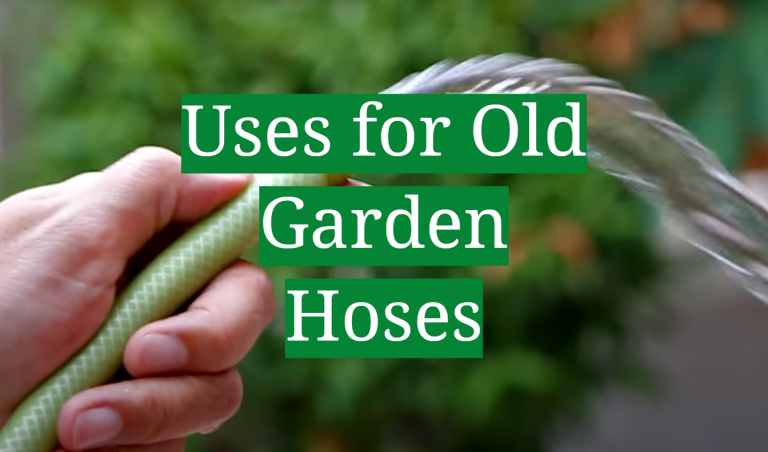 Uses for Old Garden Hoses - GardenProfy