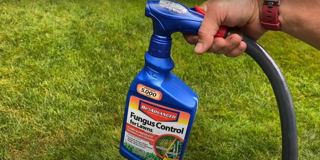 Hose-End Sprayer Not Siphoning: What to Do? - GardenProfy