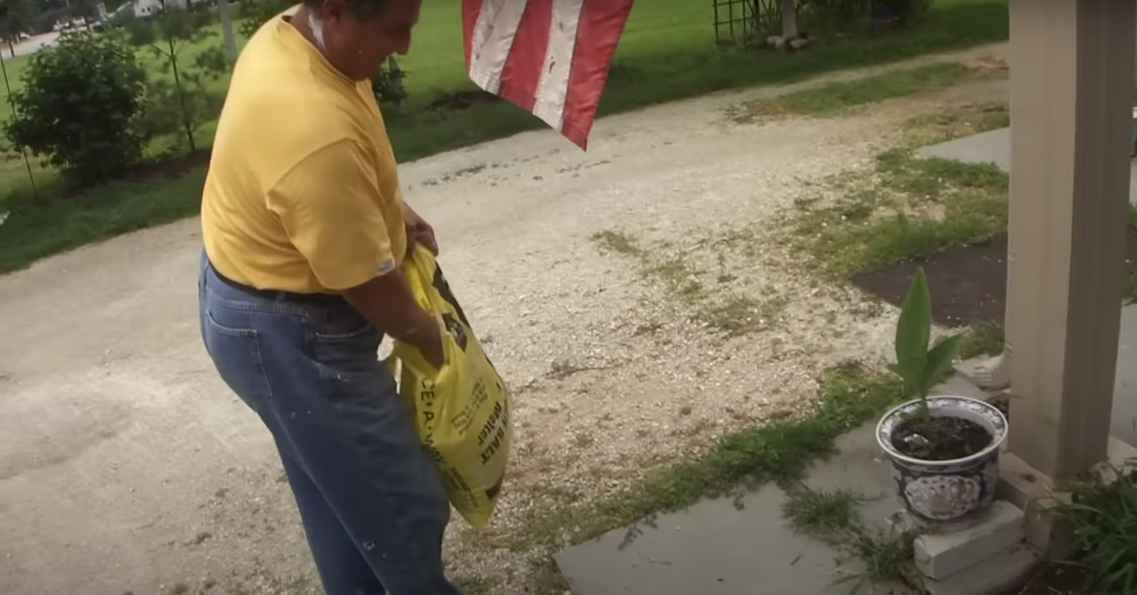 How to Salt the Earth So Nothing Grows? - GardenProfy