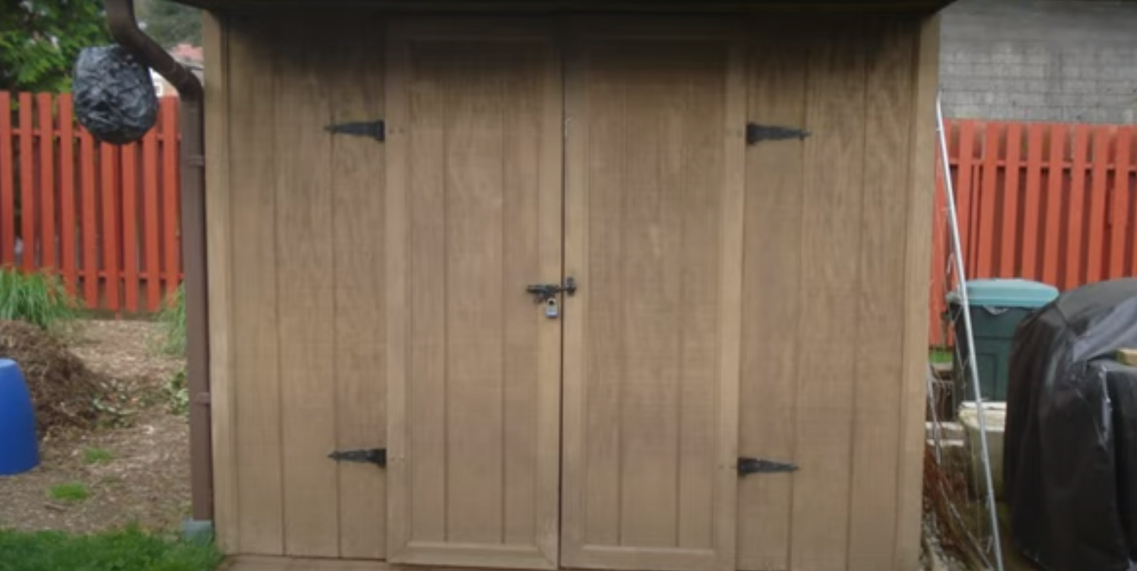 How to Get Rid of Skunks Under a Shed? - GardenProfy