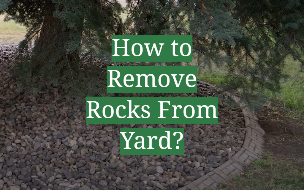 How to Remove Rocks From Yard? - GardenProfy
