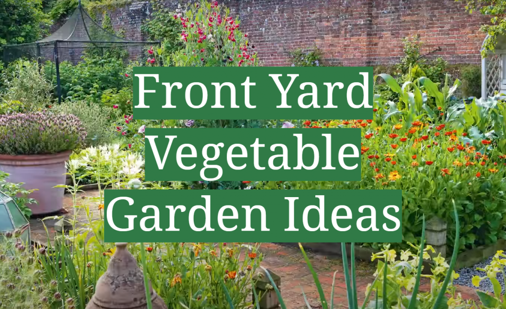 Front Yard Vegetable Garden Ideas - GardenProfy