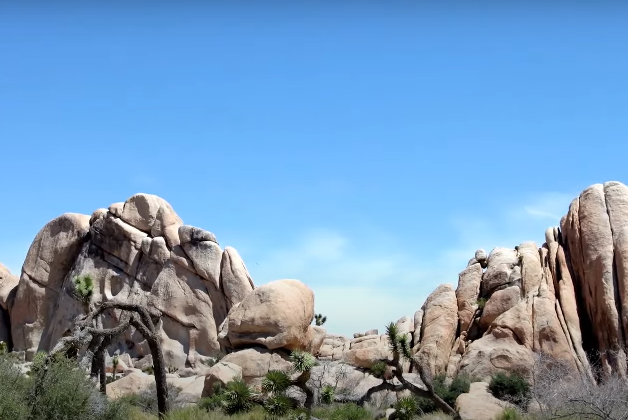 High Desert Landscaping Ideas - GardenProfy