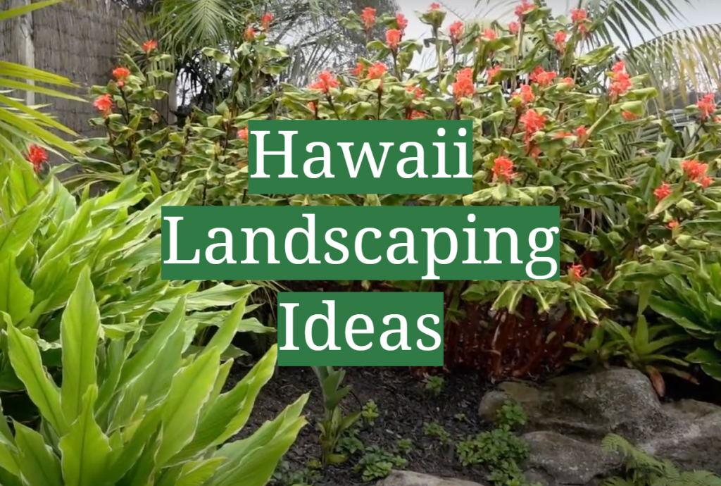 Hawaii Landscaping Ideas - GardenProfy