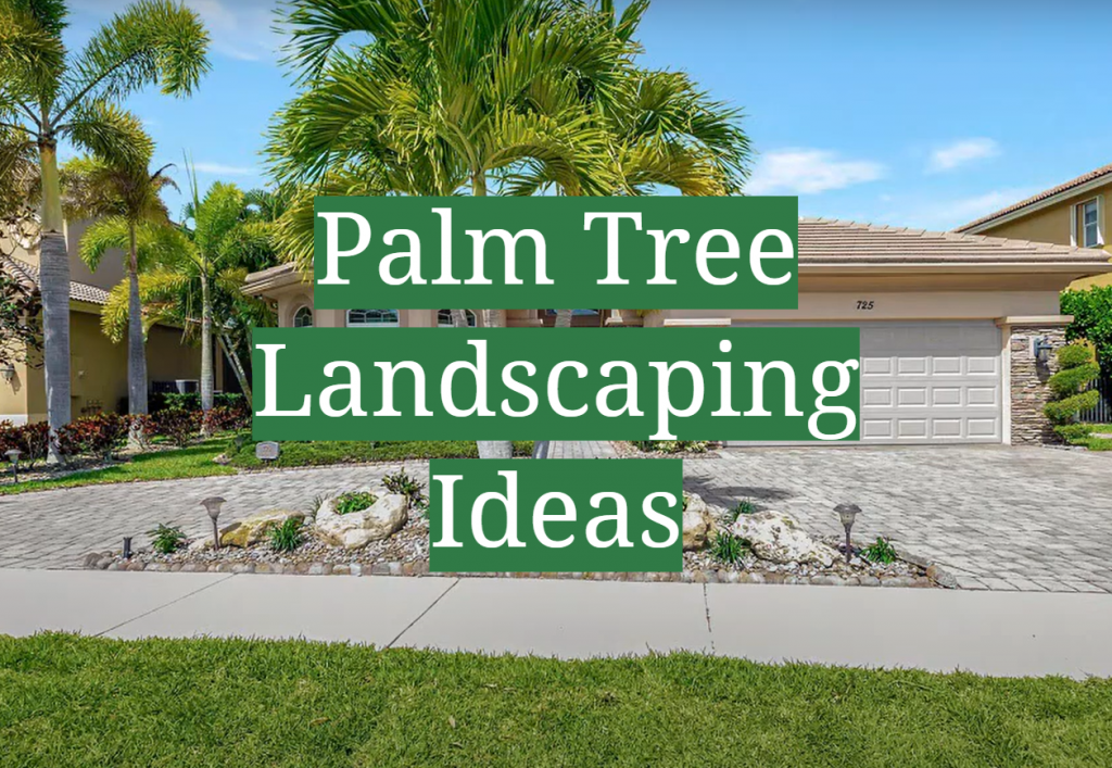 Palm Tree Landscaping Ideas - GardenProfy