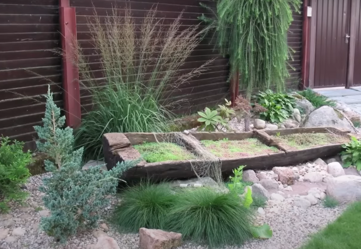 Landscaping Ideas for Sandy Soil - GardenProfy