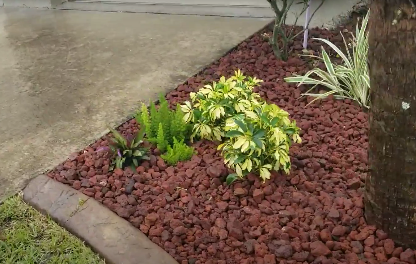 Lava Rock Landscaping Ideas - GardenProfy