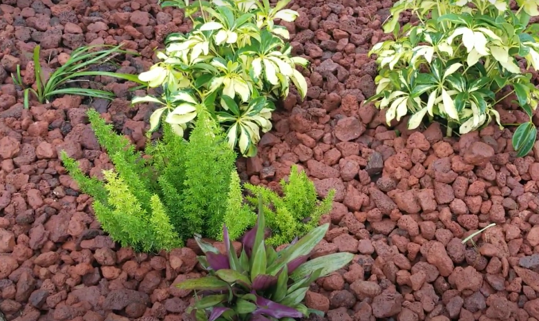 Lava Rock Landscaping Ideas - GardenProfy