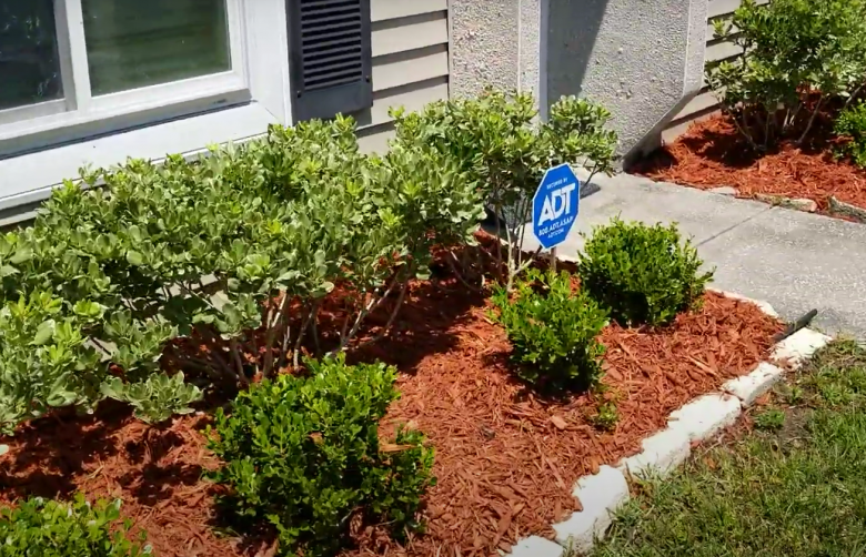 Lava Rock Landscaping Ideas - GardenProfy