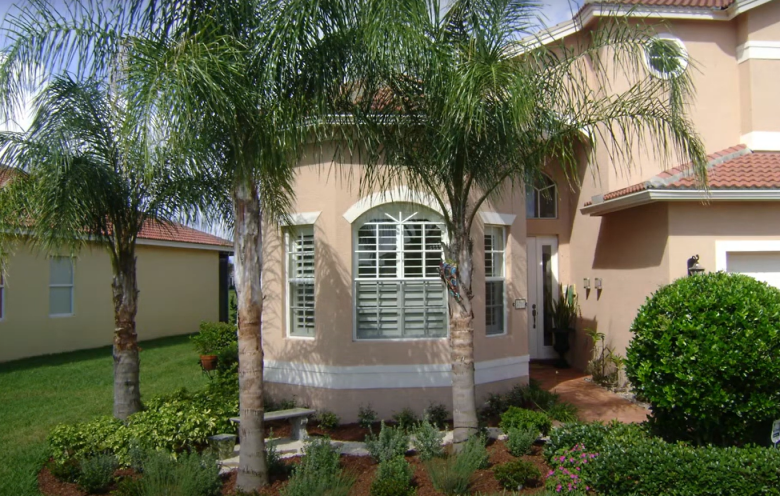 Palm Tree Landscaping Ideas - GardenProfy